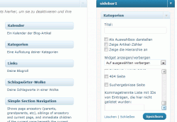 WordPress: die Widget-Ausgabe steuern – perun.net
