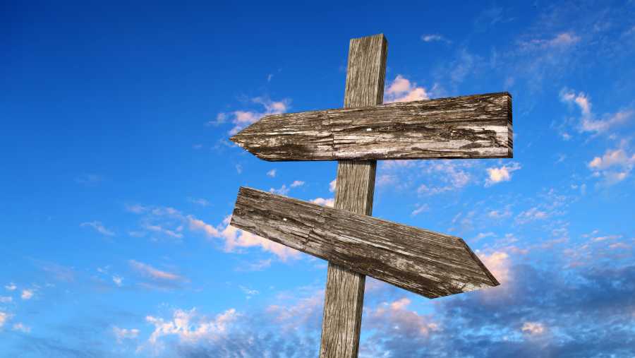 Zero Click Searches: Fluch oder Segen für deine Website? – perun.net